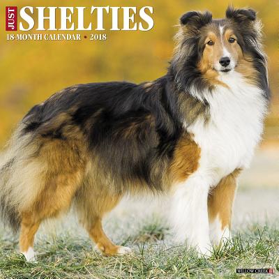 楽天ブックス: Just Shelties 2018 Wall Calendar (Dog Breed Calendar) - Willow ...