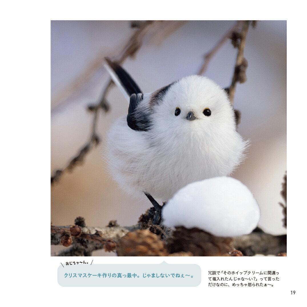 楽天ブックス シマエナガと交換日記 ときどき森の仲間たちも登場します Forest Limit 9784865936094 本
