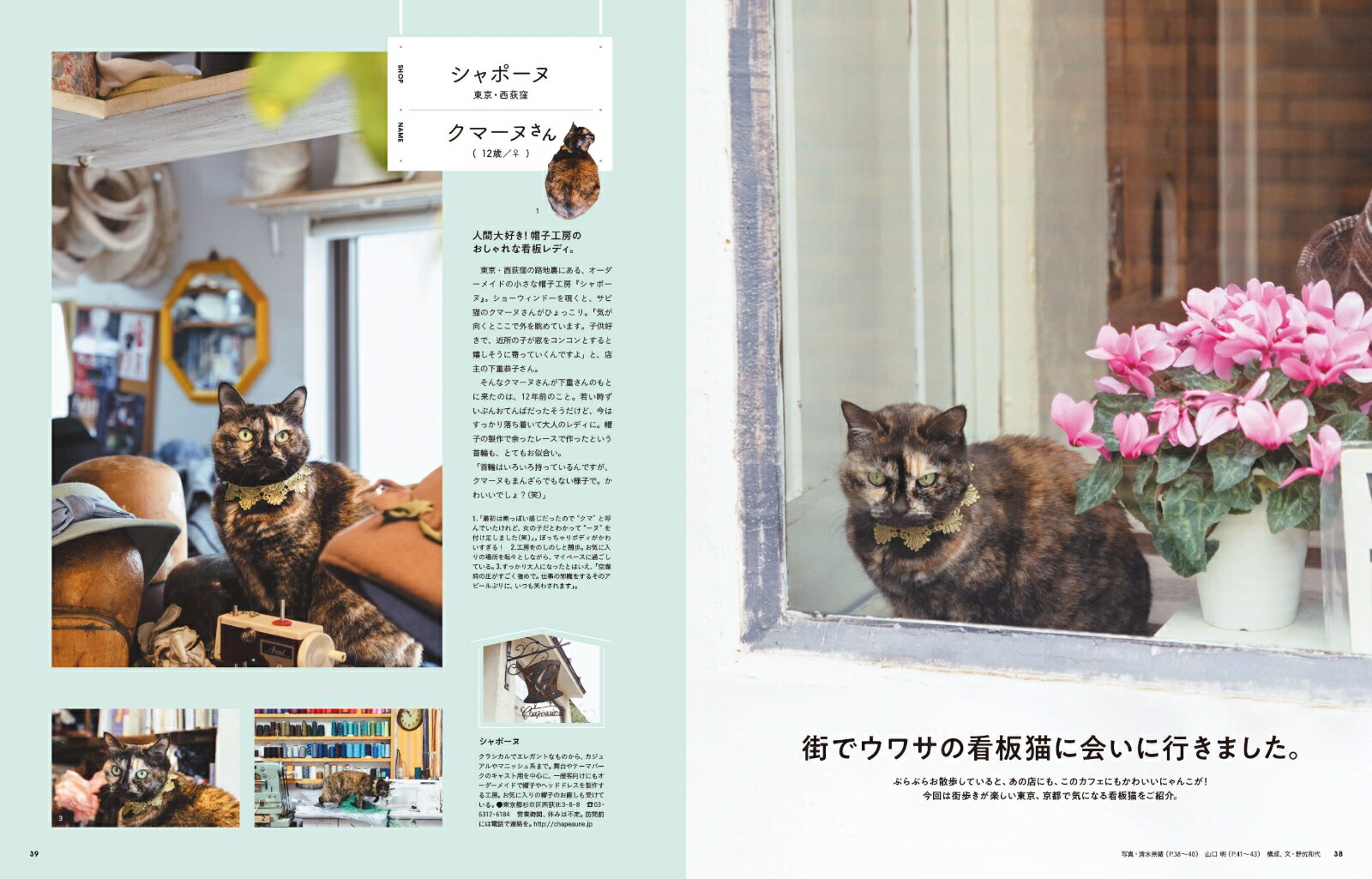 楽天ブックス: anan特別編集 にゃんこLOVE もふもふ大行進 - 9784838756407 : 本