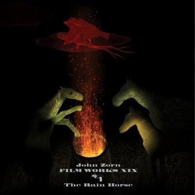 楽天ブックス: 【輸入盤】Filmworks Xix: Dimitri Geller's The Rain Horse - John Zorn - 0702397736523 : CD