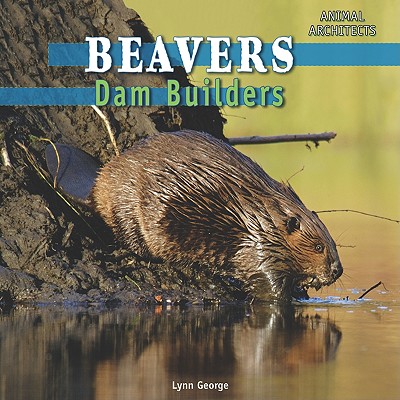 楽天ブックス: Beavers - Lynn George - 9781448806980 : 洋書