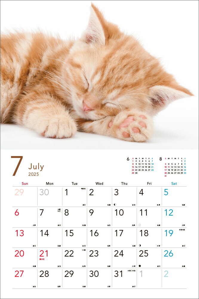 楽天ブックス: 2025 すやすやこねこカレンダー - MdN編集部 - 9784295207061 : 本
