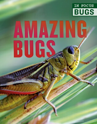楽天ブックス: Amazing Bugs - Melanie Bridges - 9780711248076 : 洋書