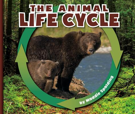 楽天ブックス: The Animal Life Cycle - Maddie Spalding - 9781503828445 : 洋書