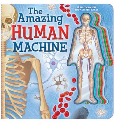 楽天ブックス: The Amazing Human Machine: Book with Acetate Body System Cards ...