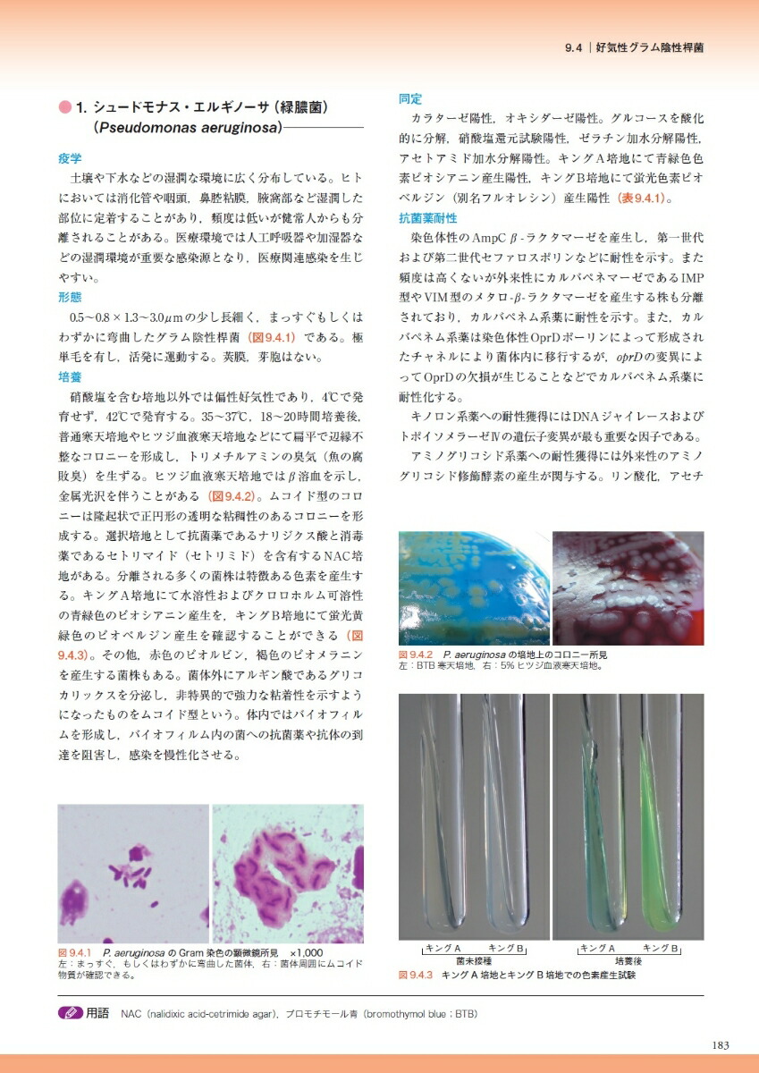 楽天ブックス 臨床微生物検査技術教本 第2版 一般社団法人 日本臨床衛生検査技師会 9784621308820 本
