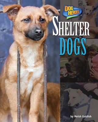 楽天ブックス: Shelter Dogs - Meish Goldish - 9781617728860 : 洋書