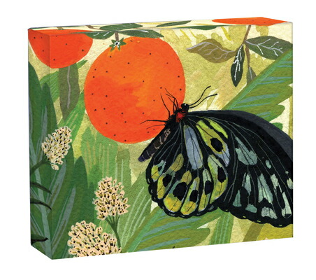 楽天ブックス: Teneues - Quicknotes: Butterflies, Notecard Box, Blank Inside ...
