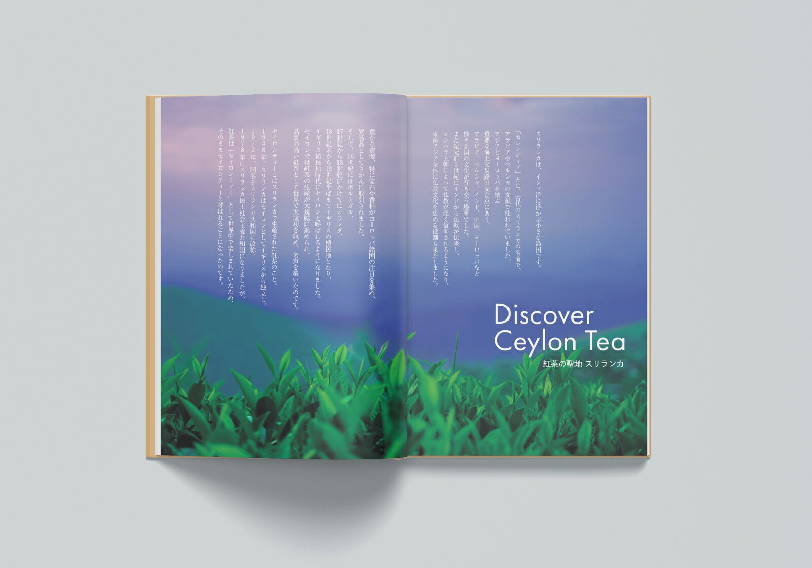 楽天ブックス Tea Time 17 Discover Ceylon Tea 紅茶の聖地 スリランカ Tea Time 編集部