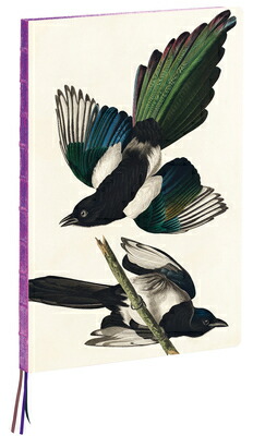 楽天ブックス: Teneues - A4 Notebook: Magpies by James Audubon, Hardcover ...