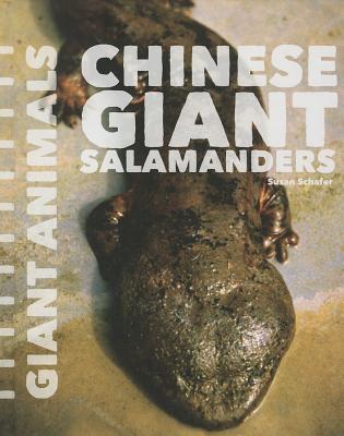 楽天ブックス: Chinese Giant Salamanders - Susan Schafer - 9781627129602 : 洋書
