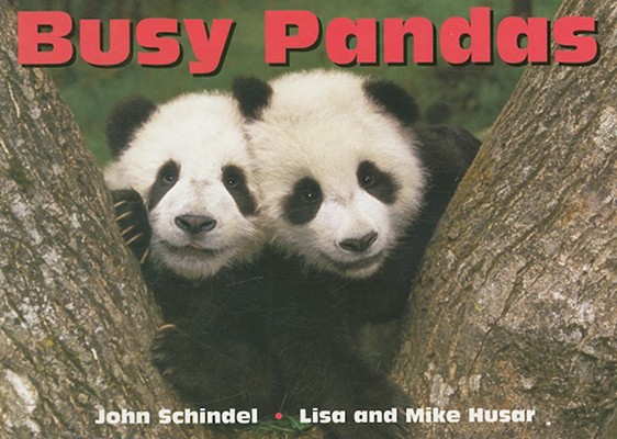 楽天ブックス: Busy Pandas - John Schindel - 9781582462592 : 洋書