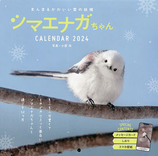 【楽天市場】’24 シマエナガちゃんCALENDAR【1000円以上送料無料】：bookfan 2号店 楽天市場店
