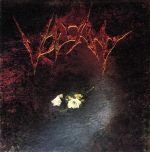 【楽天市場】【中古】 DAVI／VOLCANO：ブックオフ 楽天市場店