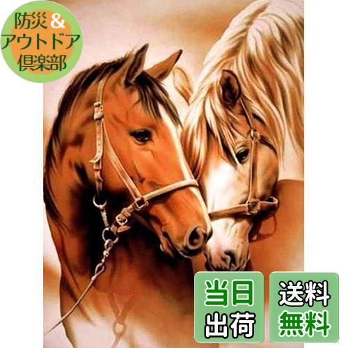 【楽天市場】【送料無料】Reofrey ダイヤモンドの絵画 馬, ダイヤモンドアート クロスステッチ キット 動物, 手作りキット 全面 ...