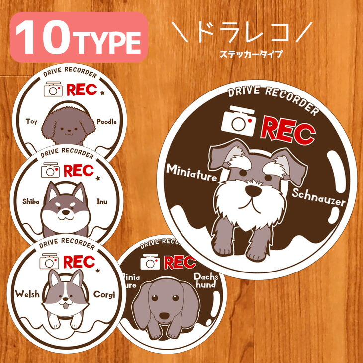 【楽天市場】【ステッカー】犬 ドラレコ ステッカー ドライブレコーダー おしゃれ シンプル かわいい REC 録画中 防犯 ミニチュアシュナウザー 柴犬 トイプードル コーギー ミニチュア ...