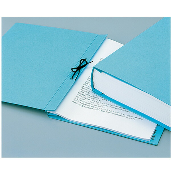 【楽天市場】【全2色・A4-S】セキセイ／のび～るファイル 樹脂ハトメ A4-S 紐付 青 白 書類の量に合わせて背幅が伸びる！ (AE-50HJ) sedia：ぶんぐたうん