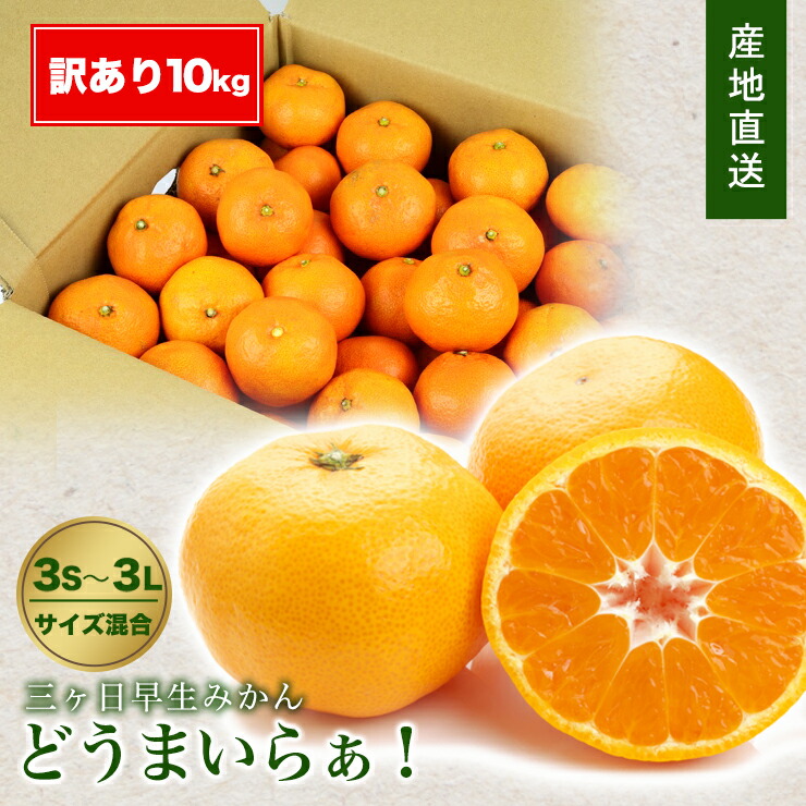 【楽天市場】【予約】 訳あり 三ヶ日 早生 みかん 10kg 送料無料 訳あり どうまいらぁ！ 3S ～ 3L サイズ不揃い 三ヶ日みかん 訳ありみかん 産地直送 農家直送 ミカン 蜜柑 10 ...