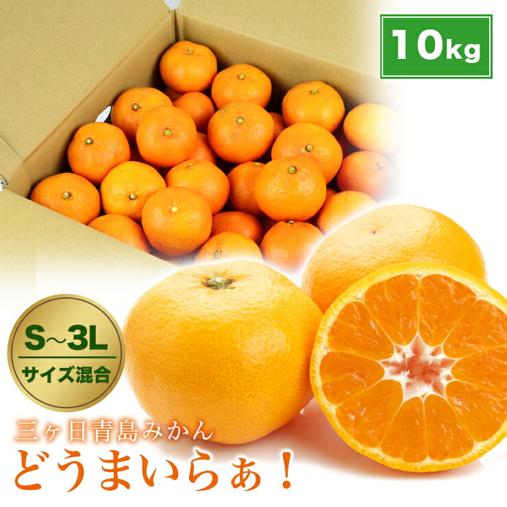 【楽天市場】三ヶ日 青島 みかん 10kg 送料無料 サイズ混合 どうまいらぁ！ 小粒 大粒 S ～ 3L 三ヶ日みかん 産地直送 農家直送 ...