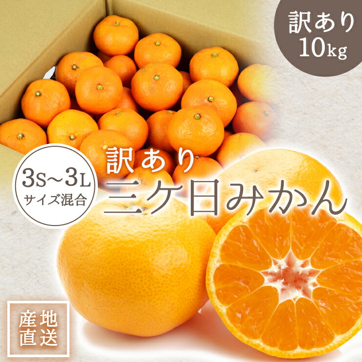 【楽天市場】【予約】 訳あり 三ヶ日 早生 みかん 10kg 送料無料 訳あり 3S ～ 3L サイズ不揃い 三ヶ日みかん 訳ありみかん 産地直送 農家直送 ミカン 蜜柑 10キロ 静岡県 ...