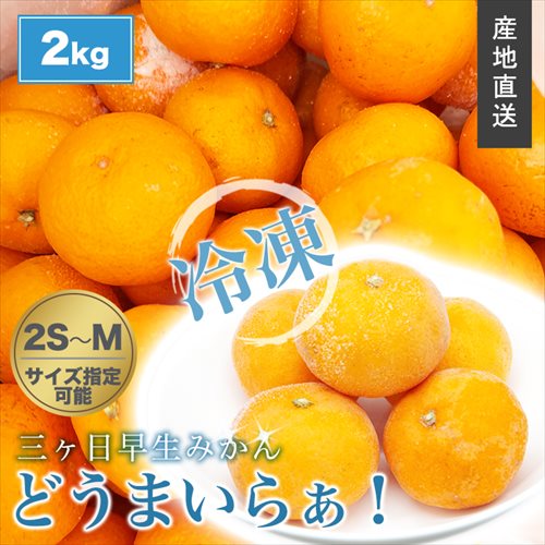 【楽天市場】【 冷凍 】選べる サイズ 2S ~ M 皮ごと 冷凍 三ヶ日 早生 みかん 小粒 小玉 2キロ 国産 三ヶ日みかん 三ヶ日 ...