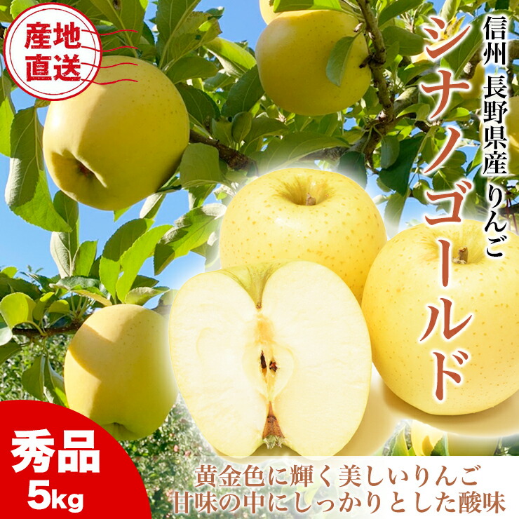 【楽天市場】秀品 長野県産 りんご シナノゴールド 5kg 送料無料 信州 リンゴ 林檎 5キロ 長野 信州産 長野市 産地直送 農家直送 果物 フルーツ 自宅用 美味しい 冬 ギフト 贈答用 ...