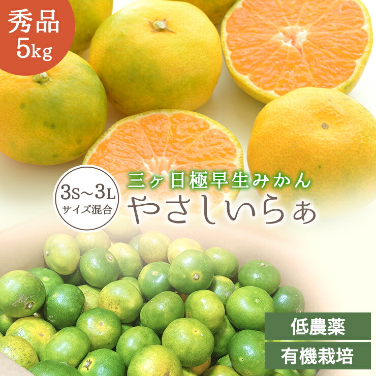 【楽天市場】良品 減農薬 有機栽培 三ヶ日 極早生 みかん 5kg 送料無料 やさしいらぁ 3S ～ 3L サイズ不揃い 位田 みかん園 特別栽培 有機肥料 贈答用 ギフト 贈答 三ヶ日みかん ...