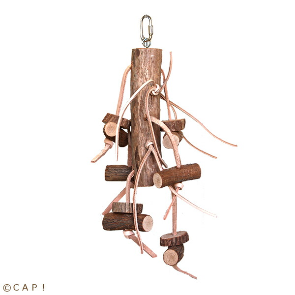 【楽天市場】【Playful Parrot】Biggin' PP24：CAP！