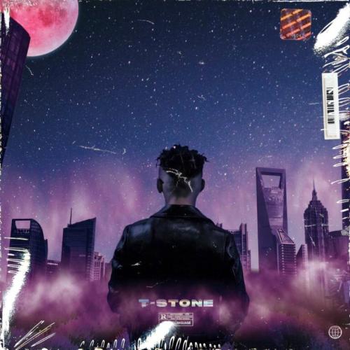 【楽天市場】T-STONE / APOSTROPHE [CD]：CASTLE RECORDS
