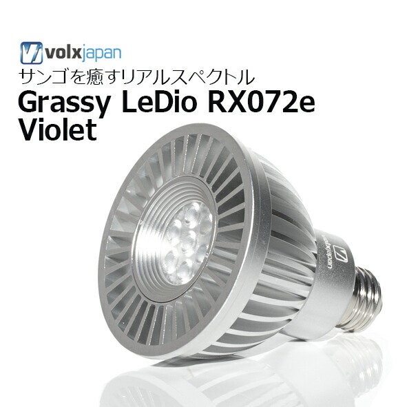 【楽天市場】ボルクスジャパン・Grassy LeDio RX072e VioletグラッシーレディオRX072eバイオレット：CEPPO ...