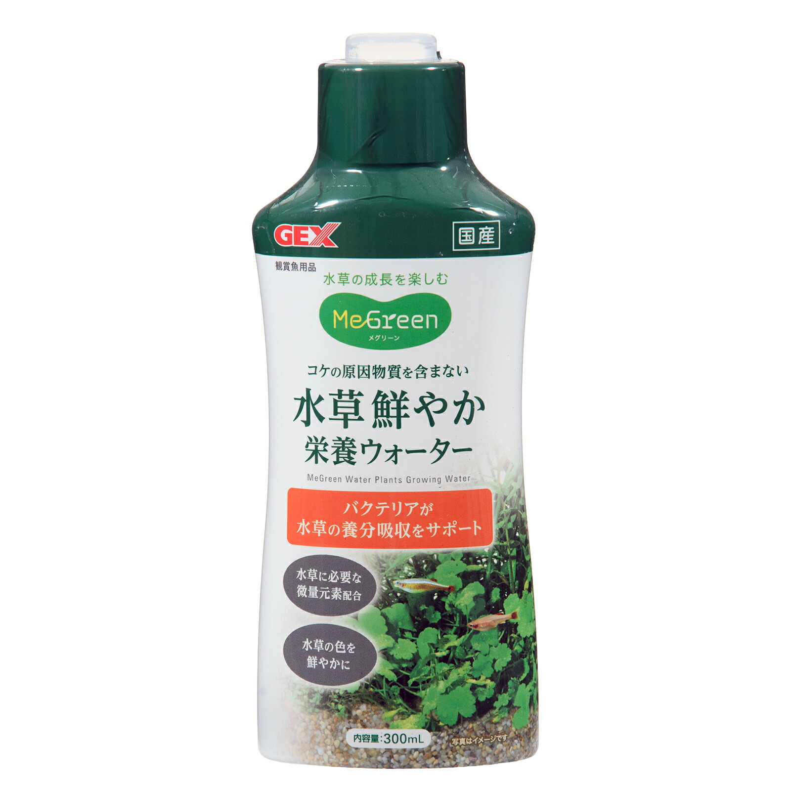 【楽天市場】GEX MeGreen 水草鮮やか栄養ウォーター 300mL K 微量元素 コケ予防 関東当日便：charm 楽天市場店