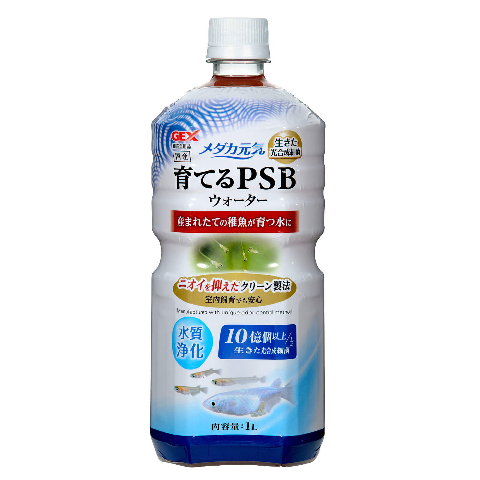 【楽天市場】GEX メダカ元気 育てるPSBウォーター 1L ニオイが少ない 室内 めだか 稚魚 関東当日便：charm 楽天市場店