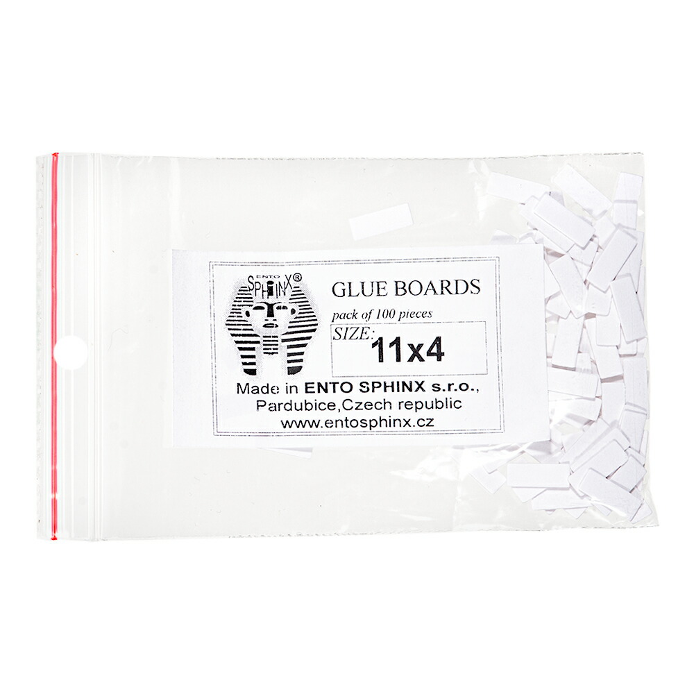 【楽天市場】チェコ製 小型昆虫貼り付け台紙 11×4mm 100枚入り 関東当日便：charm 楽天市場店