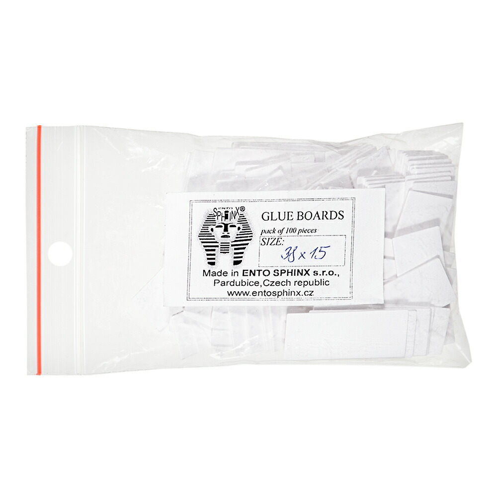 【楽天市場】チェコ製 小型昆虫貼り付け台紙 38×15mm 100枚入り 関東当日便：charm 楽天市場店