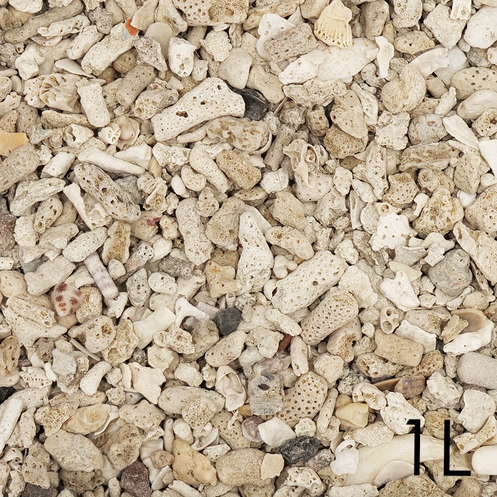 【楽天市場】＃10 C．P．Farm 天然サンゴ砂＃10 Natural coral sand 1L 関東当日便：charm 楽天市場店