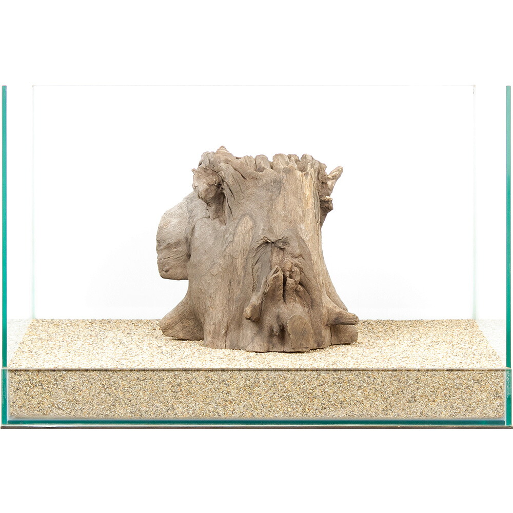 【楽天市場】一点物 スタンプウッド 45cm水槽用 880000 関東当日便：charm 楽天市場店