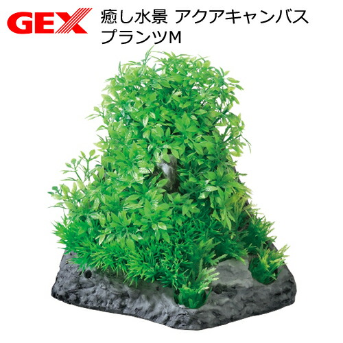 【楽天市場】GEX 癒し水景 アクアキャンバス プランツM 人工水草 関東当日便：charm 3980 楽天市場店