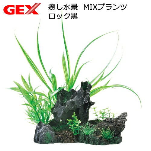 【楽天市場】GEX 癒し水景 MIXプランツ ロック黒 人工水草 関東当日便：charm 3980 楽天市場店