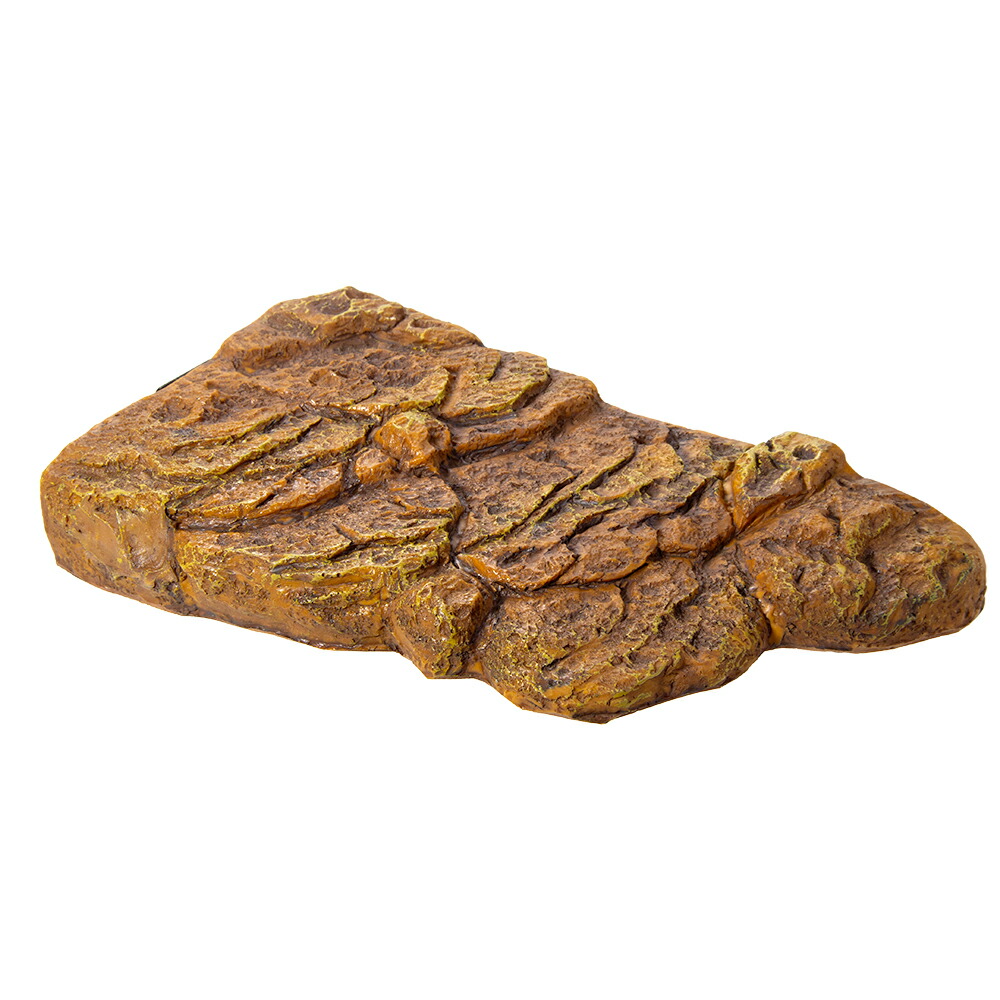 【楽天市場】GEX エキゾテラ タートルバンク M 亀 浮島 関東当日便：charm 3980 楽天市場店