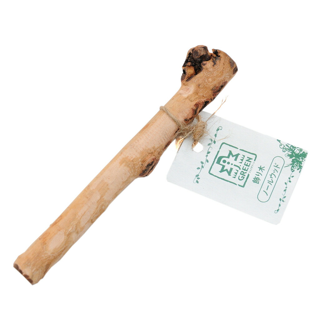 【楽天市場】JUN 飾り木 ノールウッド 12～15cm 関東当日便：charm 3980 楽天市場店