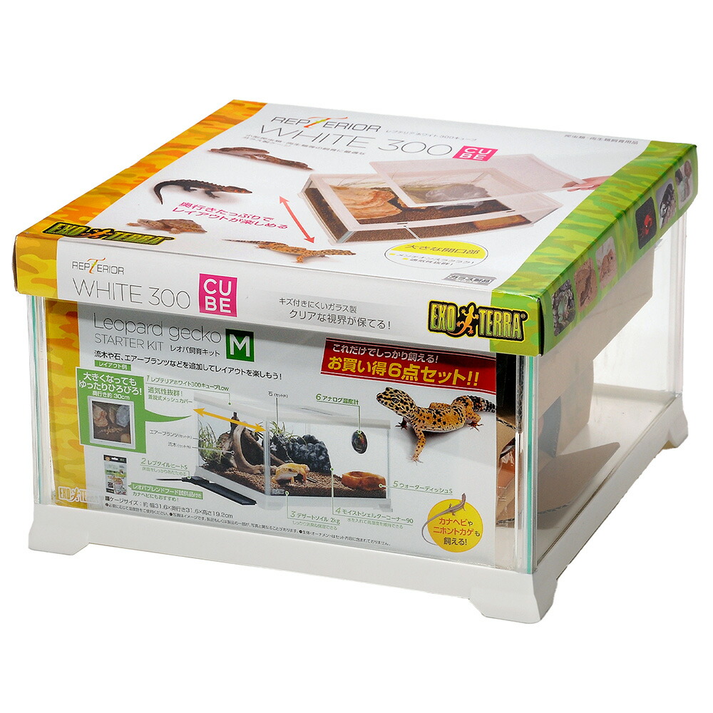 【楽天市場】GEX エキゾテラ レオパ飼育キットM お一人様2点限り 関東当日便：charm 3980 楽天市場店