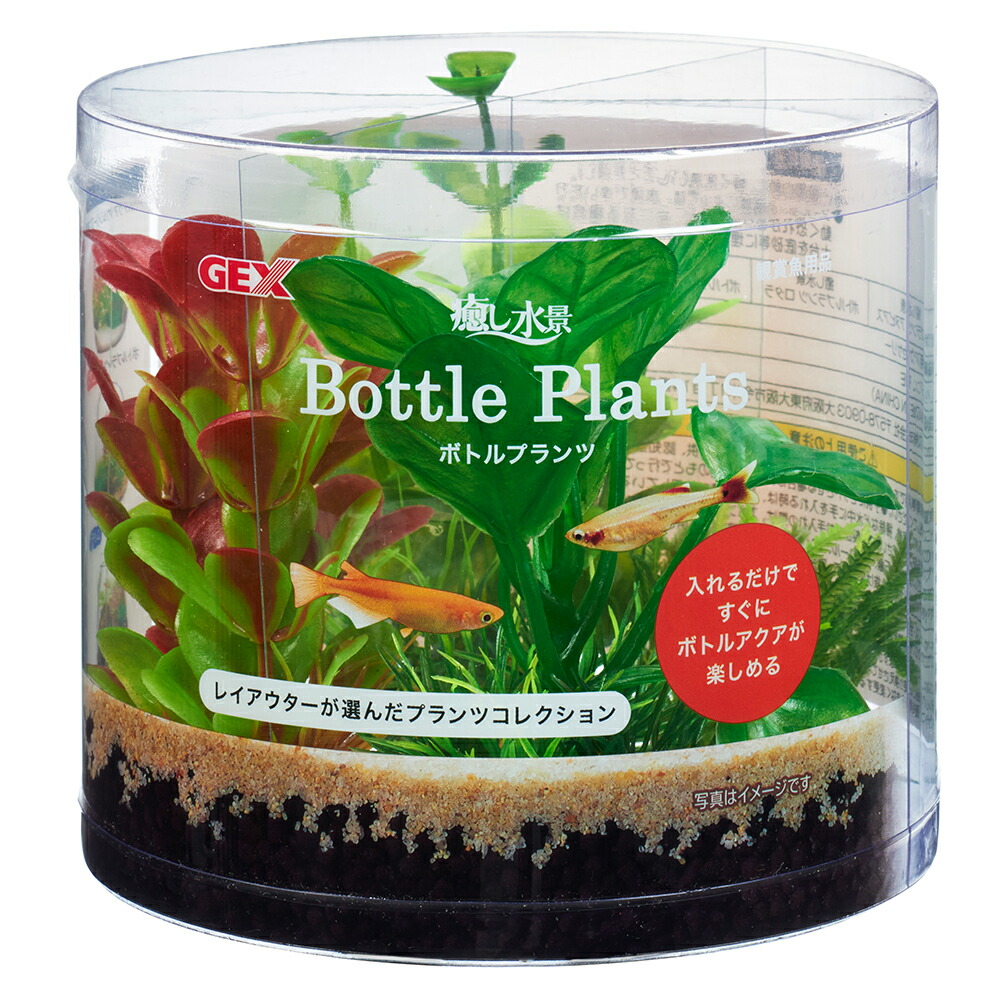 【楽天市場】GEX 癒し水景 ボトルプランツ アヌビアス 人工水草 関東当日便：charm 3980 楽天市場店