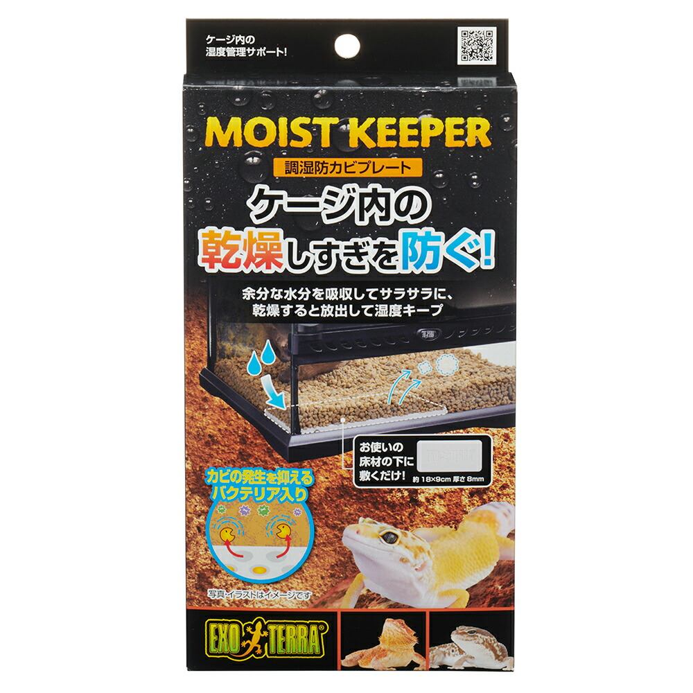 【楽天市場】GEX 調湿防カビプレート 関東当日便：charm 3980 楽天市場店