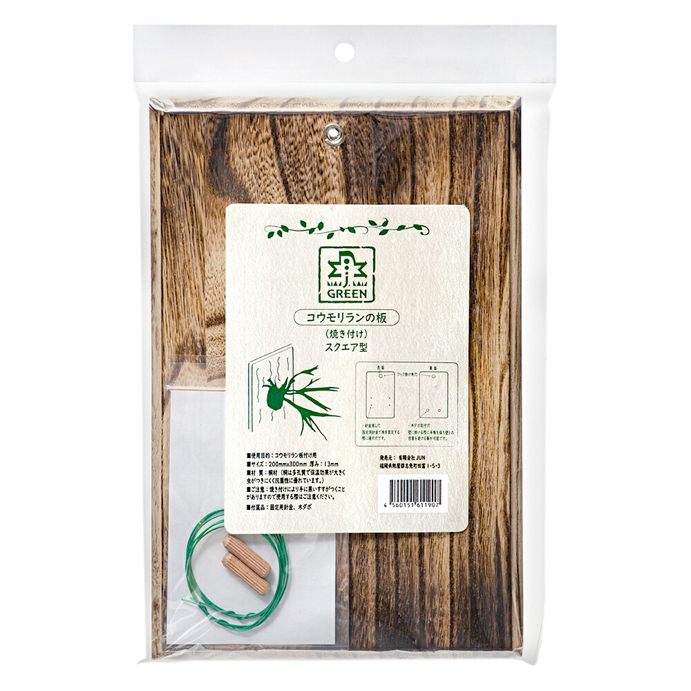 【楽天市場】JUN J．GREEN コウモリランの板 スクエア型 関東当日便：charm 3980 楽天市場店