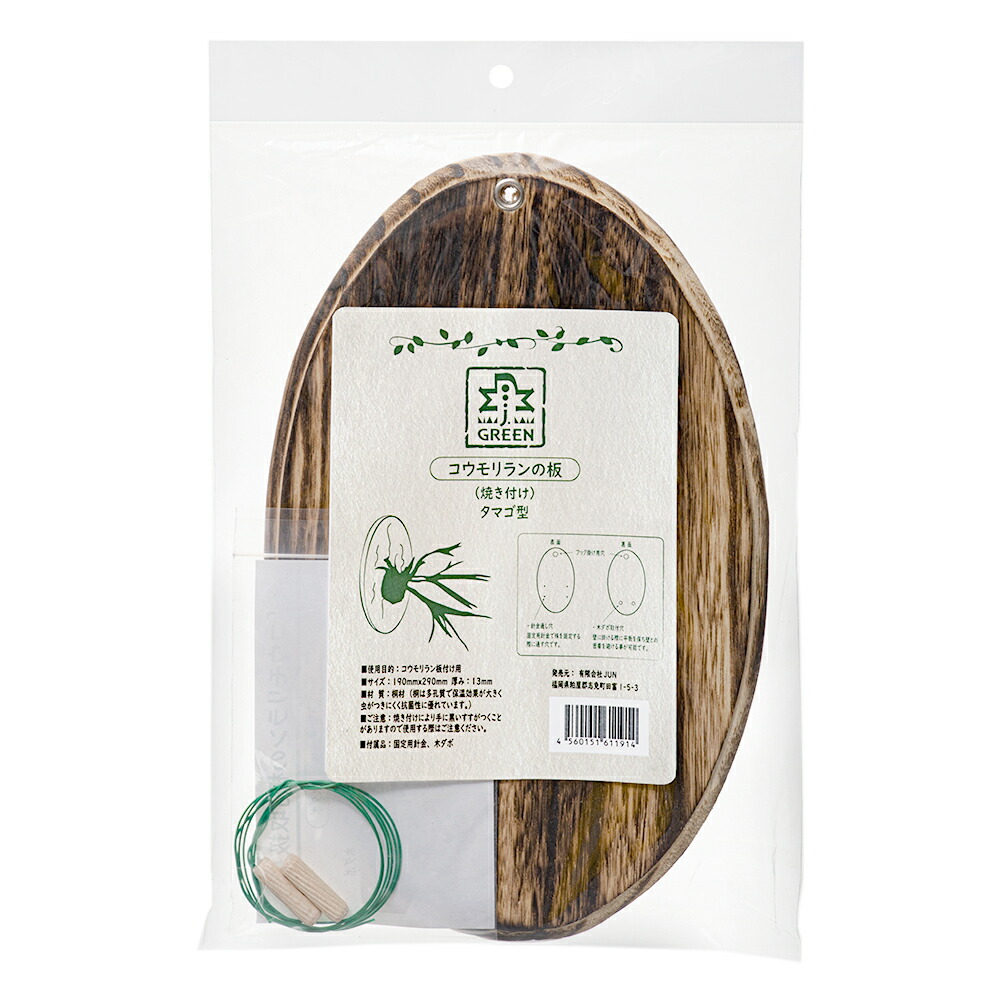 【楽天市場】JUN J．GREEN コウモリランの板 タマゴ型 関東当日便：charm 3980 楽天市場店