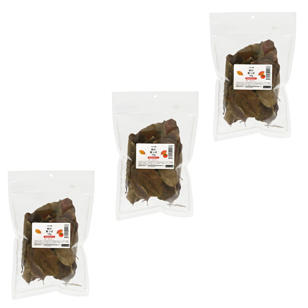 【楽天市場】3袋セット 柿の葉っぱ 10g×3袋 メダカ用 隠れ家 越冬 国産 関東当日便：charm 3980 楽天市場店