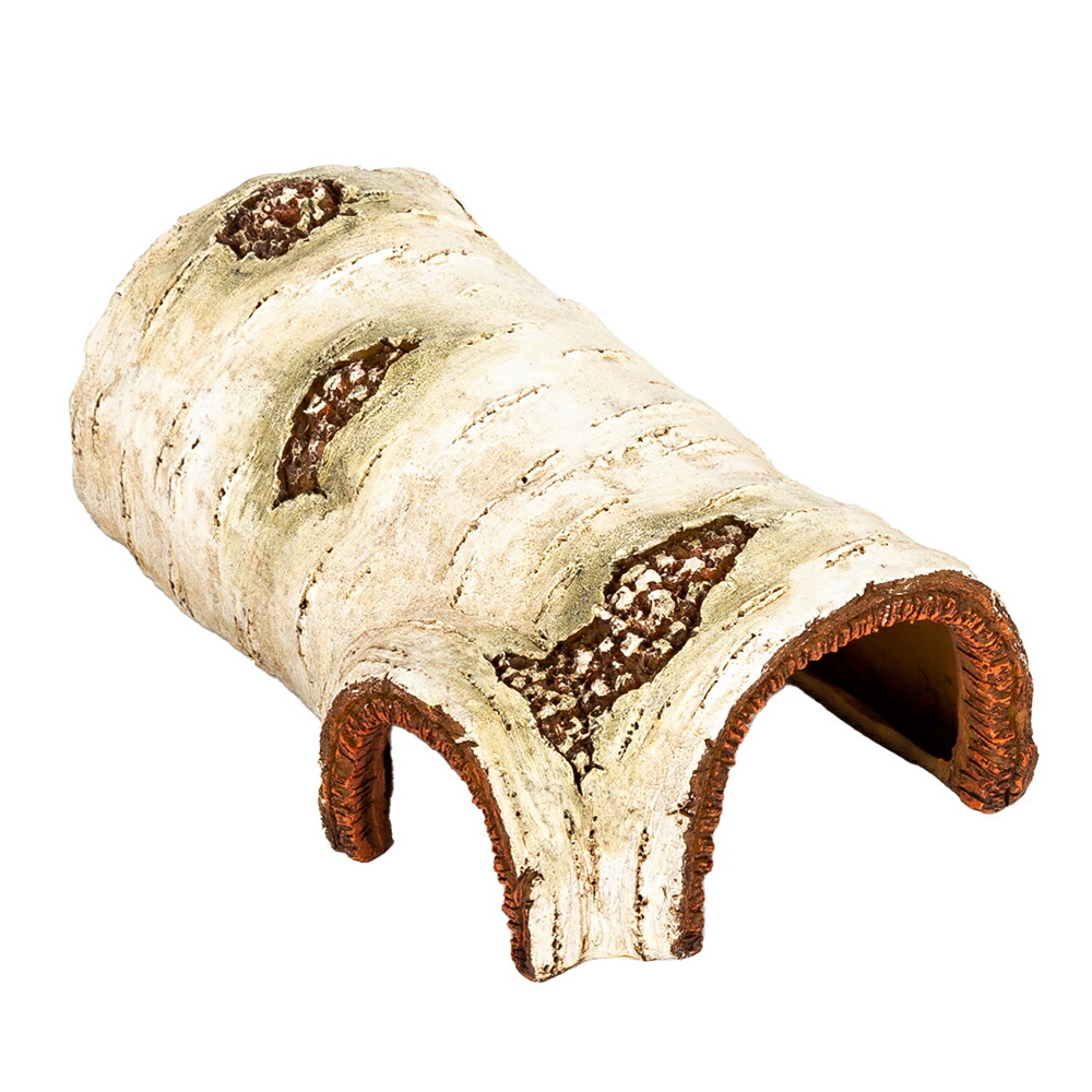 【楽天市場】三晃商会 REPTIZOO ポプラハイドケーヴ M 爬虫類 両生類 シェルター 隠れ家 関東当日便：charm 3980 楽天市場店