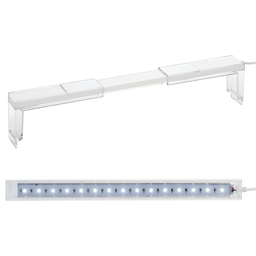 【楽天市場】GEX クリアLED フラッティ 3040 ホワイト USB ライト 水槽 照明 関東当日便：charm 3980 楽天市場店