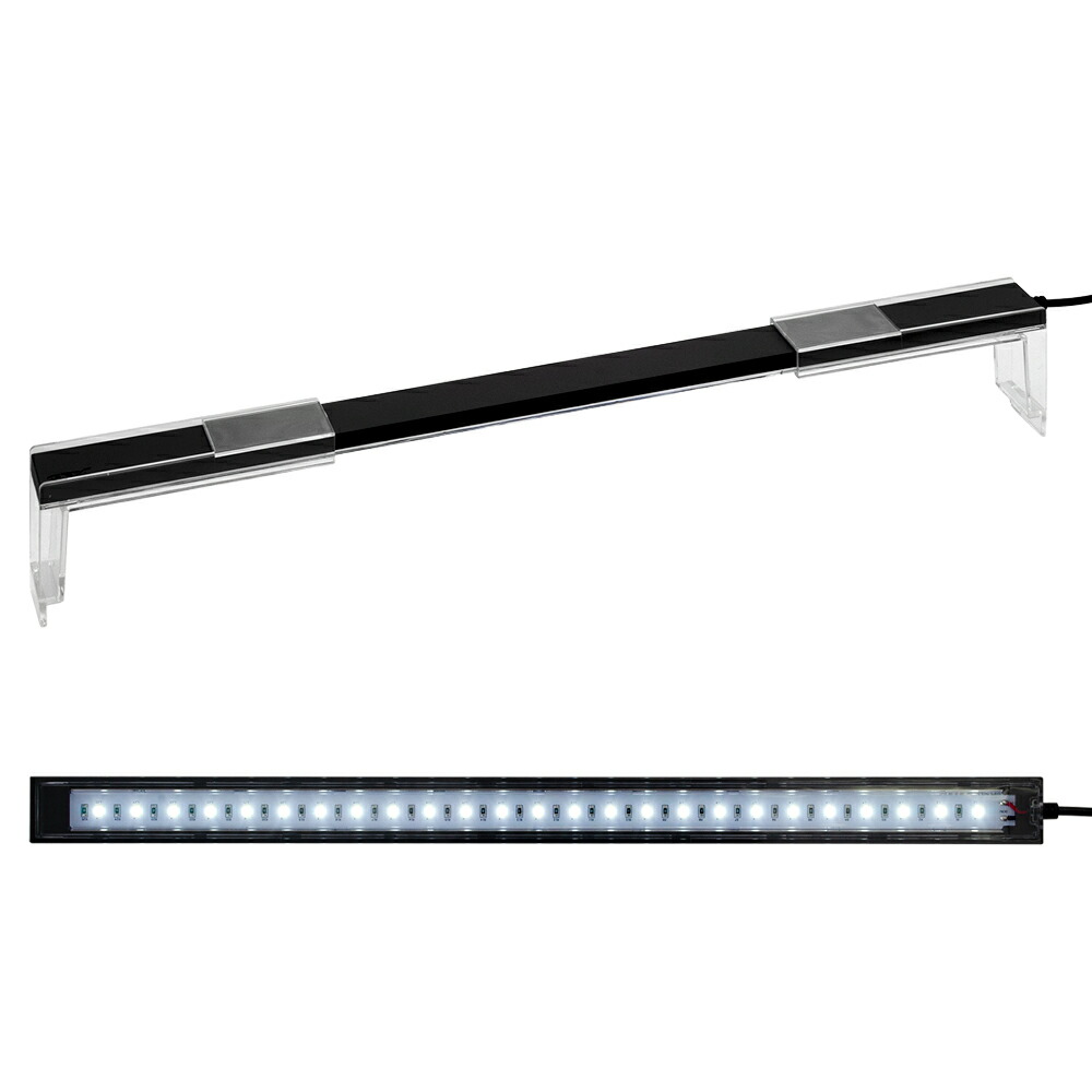 【楽天市場】GEX クリアLED フラッティ 4052 ブラック USB ライト 水槽 照明 関東当日便：charm 3980 楽天市場店