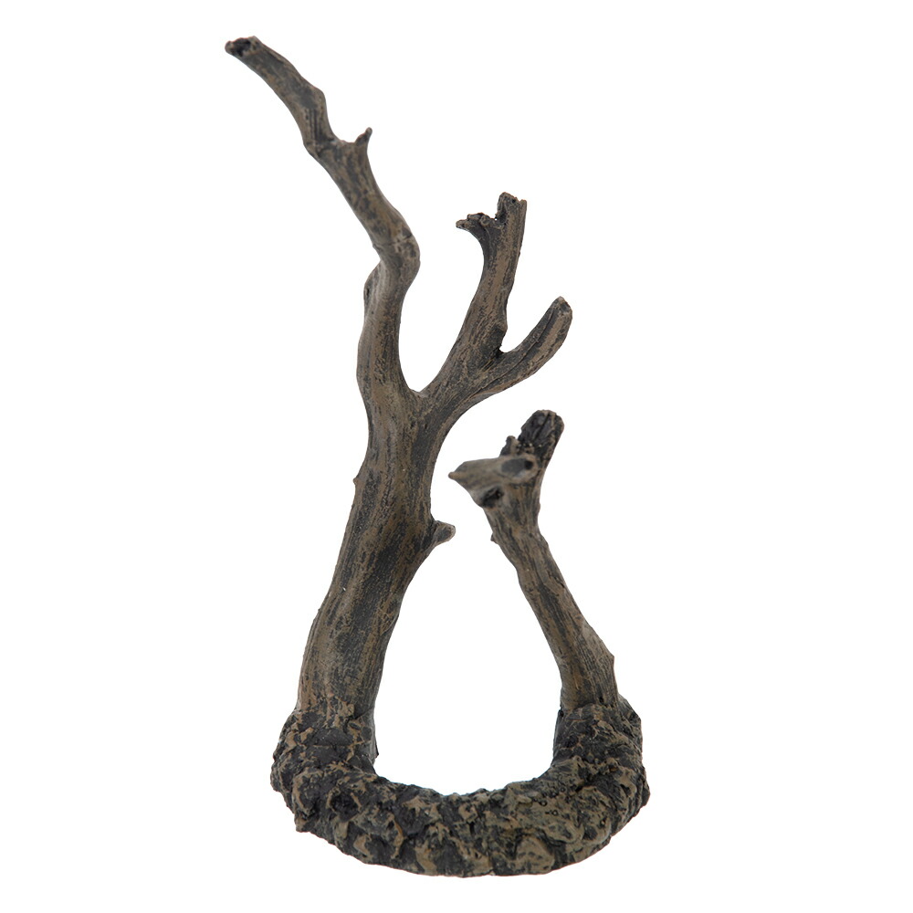 【楽天市場】GEX 癒し水景 ボトルウッド M 水槽 オブジェ 関東当日便：charm 3980 楽天市場店